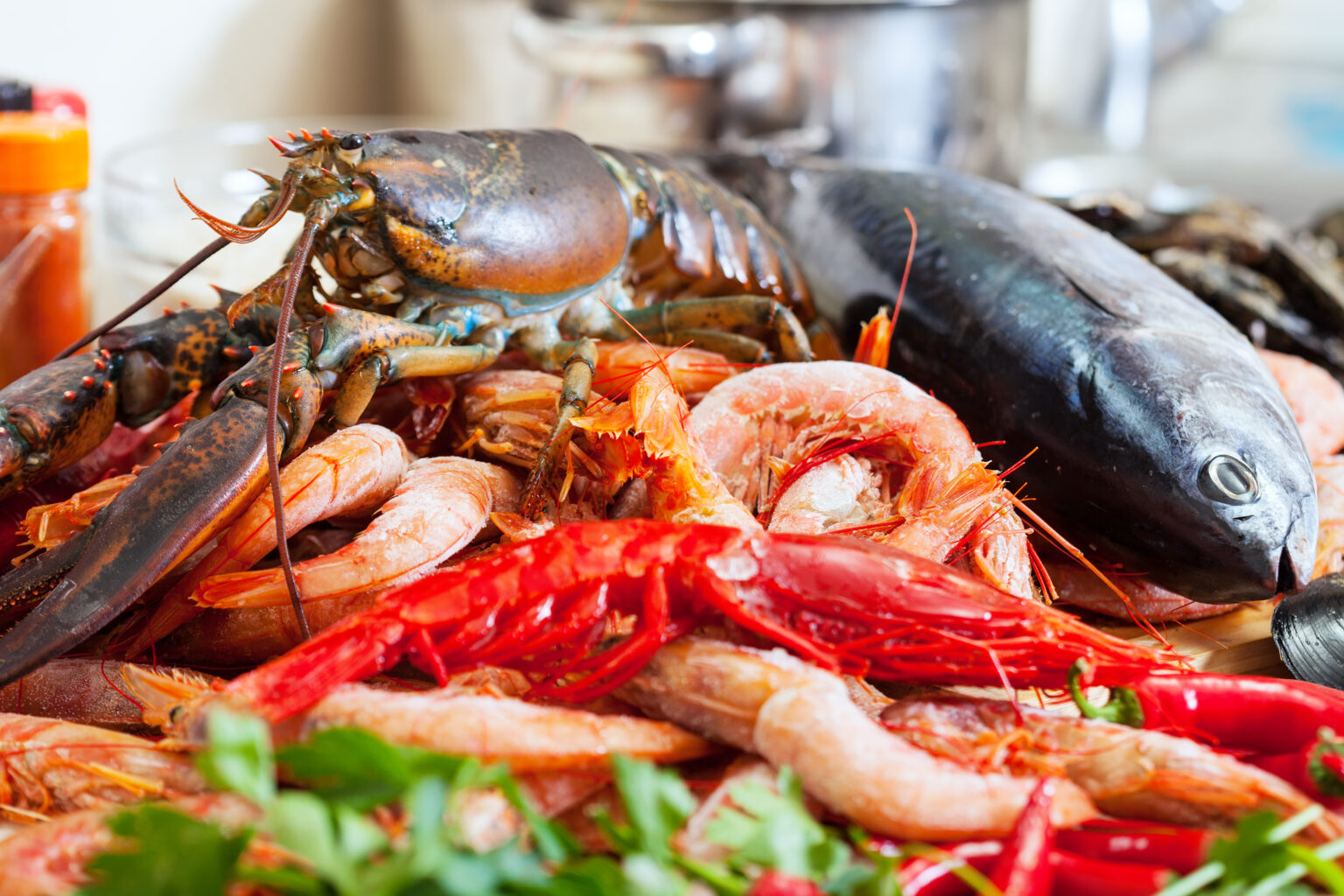Pesquisa de preços de pescados indica economia de até R$ 64,90 em ...